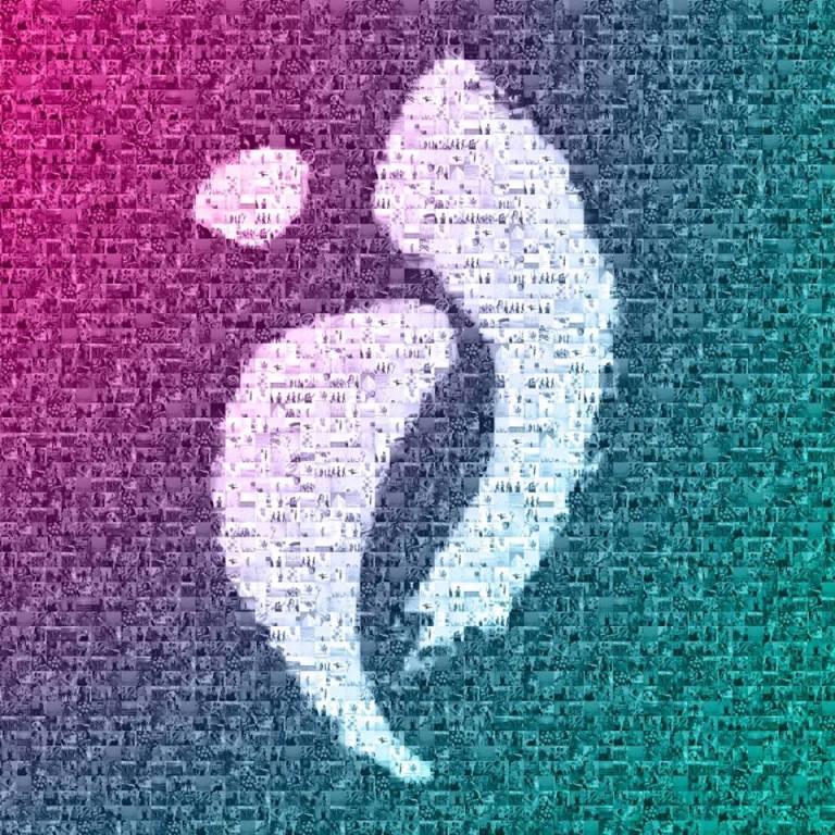 Nia Technique – Awakening Body + Life